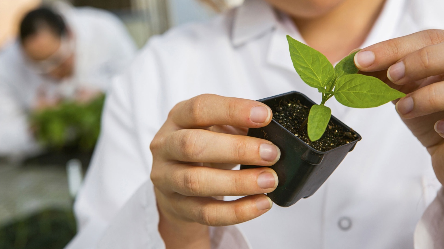 Über uns | BASF Agricultural Solutions DE