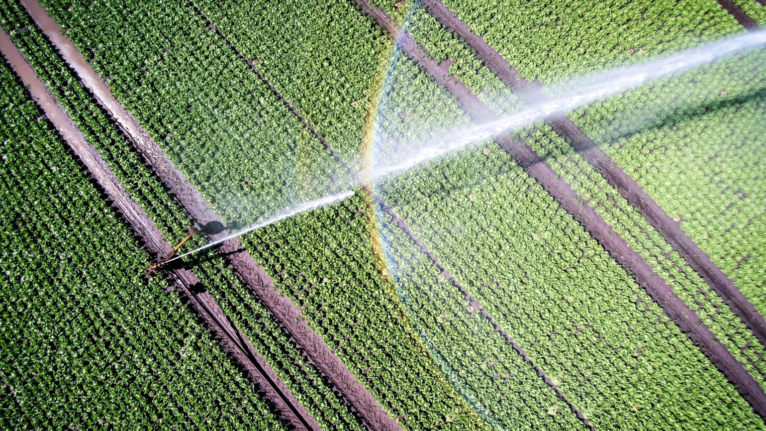 Aktuell | BASF Agricultural Solutions DE