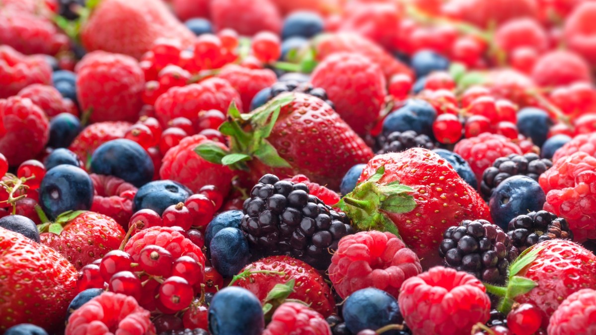 Beeren: Herausforderungen im Anbau - Agricultural Solutions