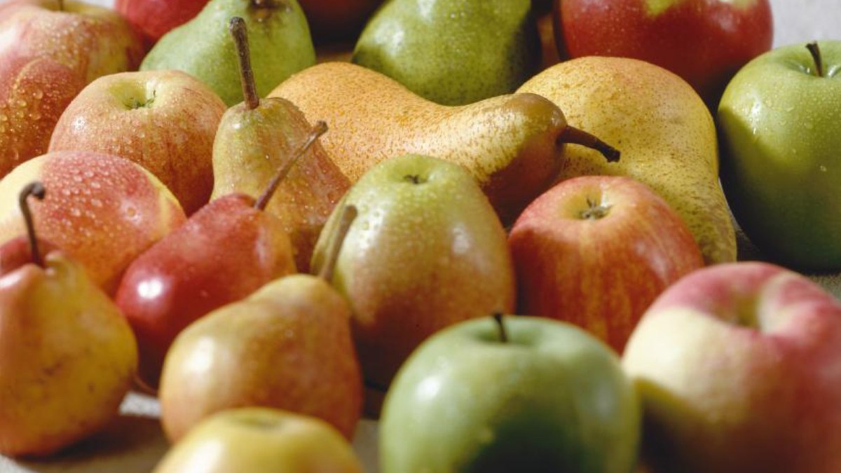 Kernobst - Agricultural Solutions