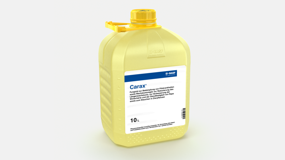 Raps: Bestandesführung im Frühjahr I BASF Agrar