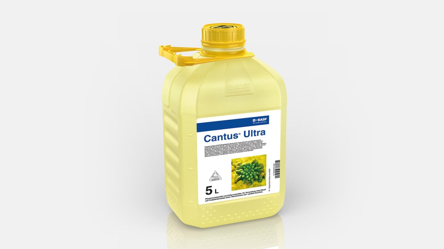 Raps: Tipps zur Blütenbehandlung I BASF Virtuelle Farm