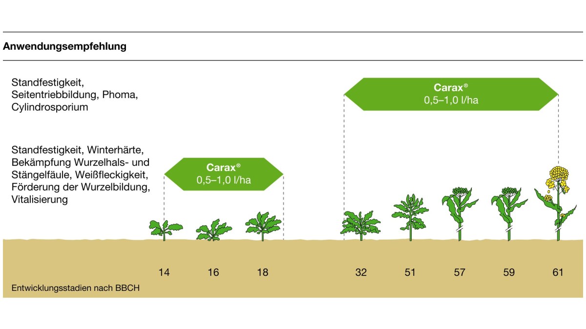 Carax® - Agricultural Solutions