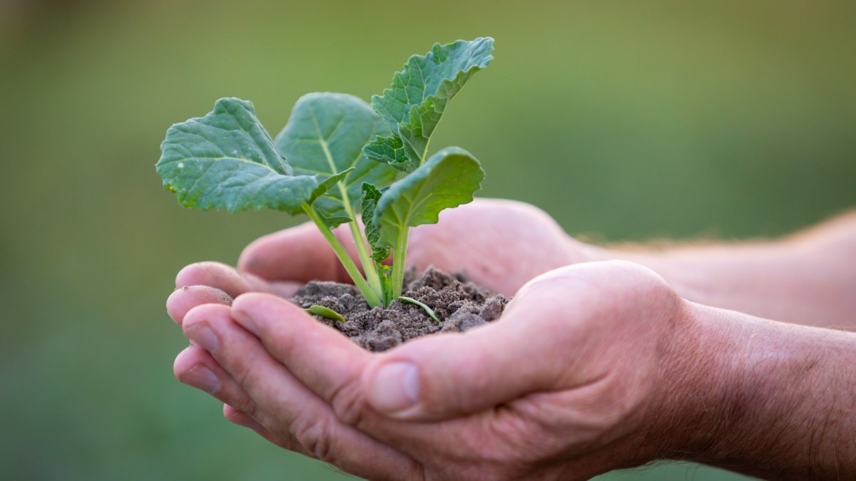 Cheeta - Agricultural Solutions