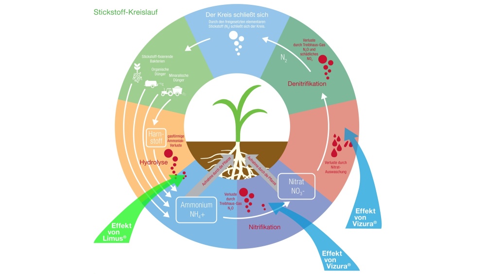 Urease-Inhibitor für Stickstoff-Effizienz