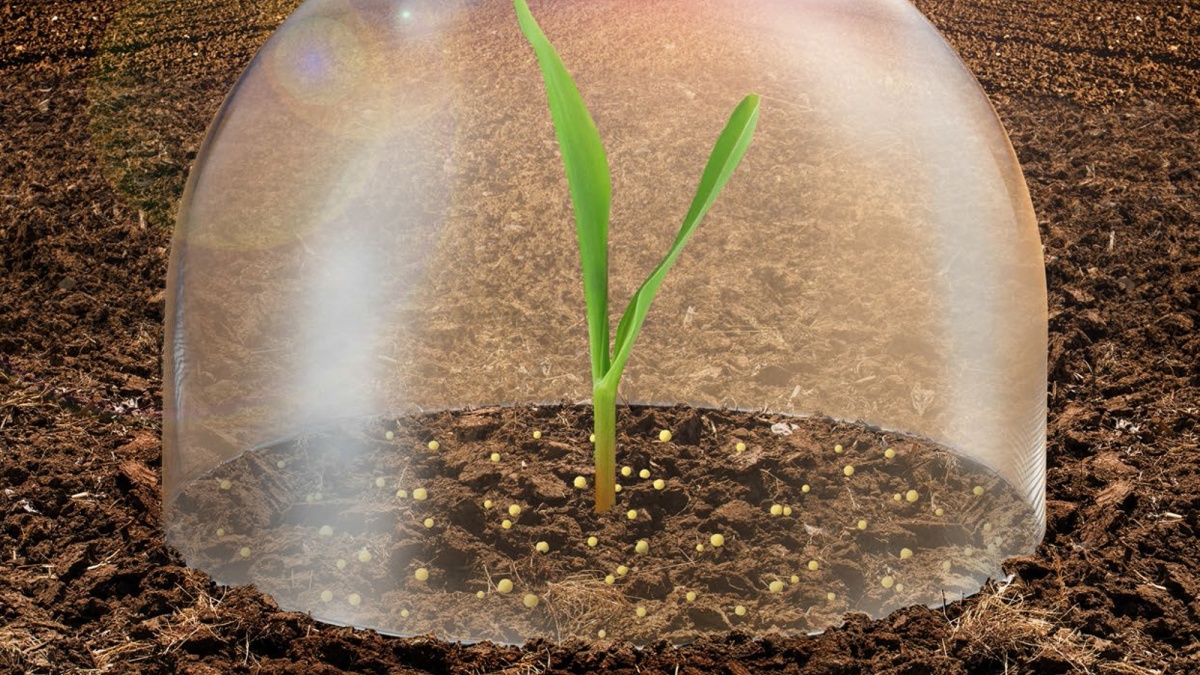 Stickstoff-Management | BASF Agricultural Solutions DE