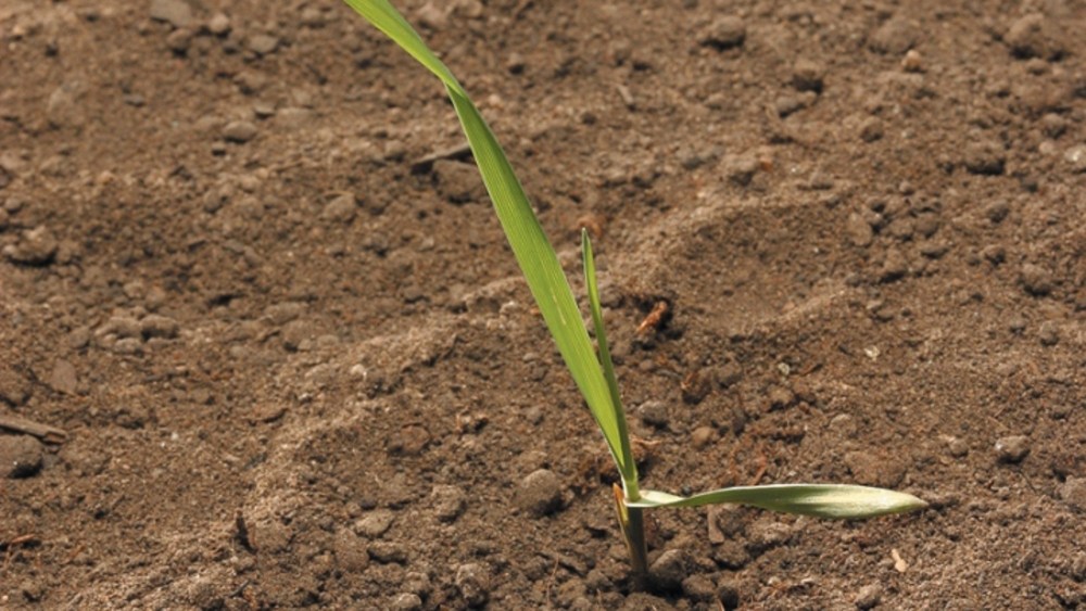 Quecke - Agricultural Solutions